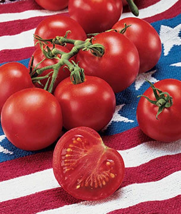 45 Types Of Tomatoes | A-to-Z | Defined | Photos - Butter N Thyme
